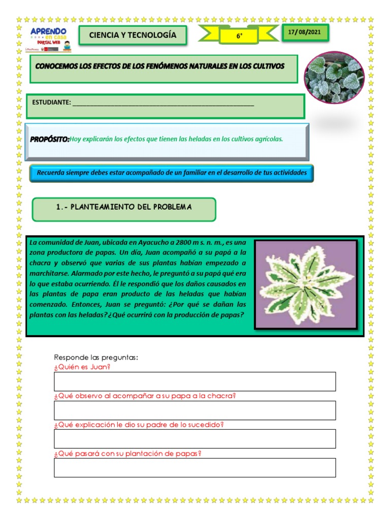 6º Ficha Ciencia y Tecnologia Conocemos Los Efectos de Los Fenomenos ...