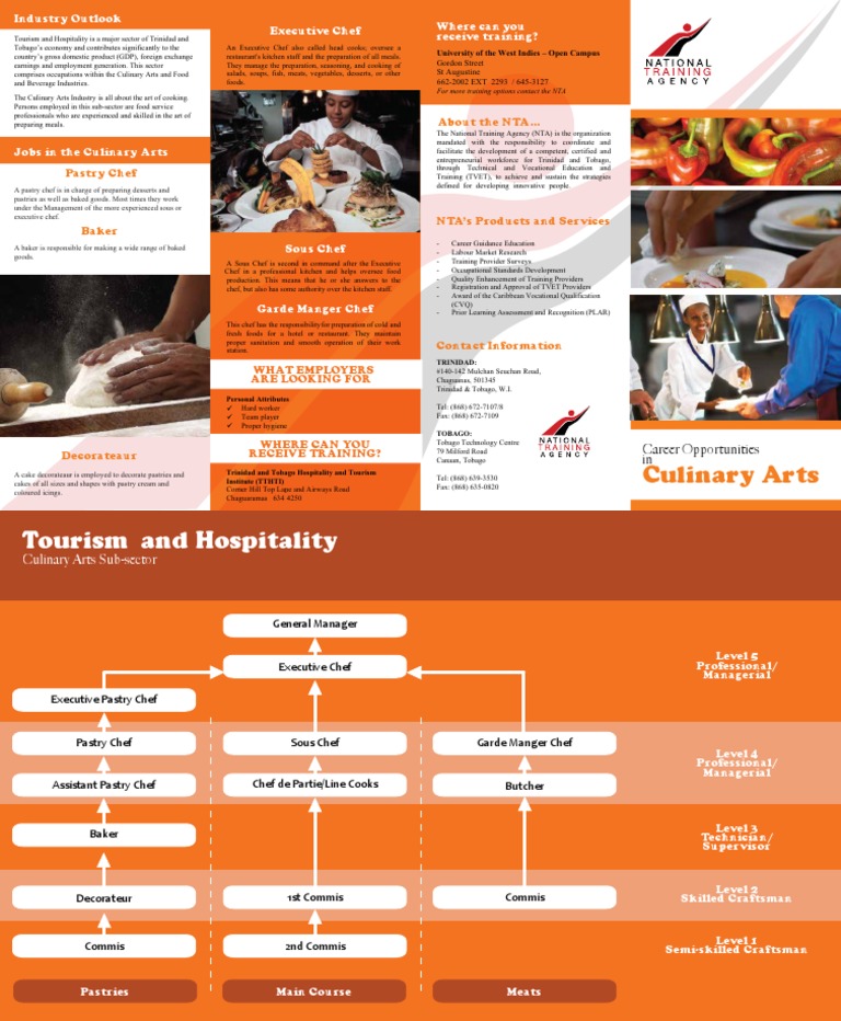 Culinary Career Map | PDF | Chef | Culinary Arts