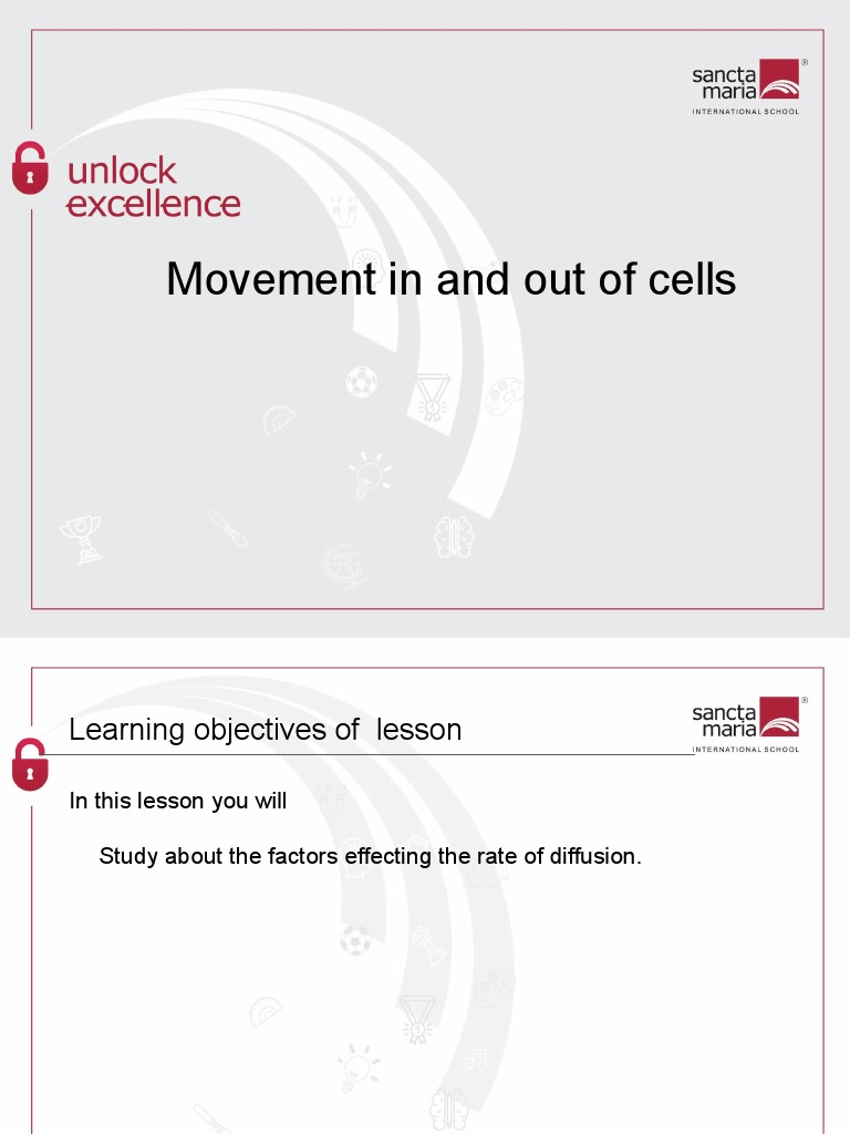 Movement in and Out of Cells - Lesson 2 | PDF