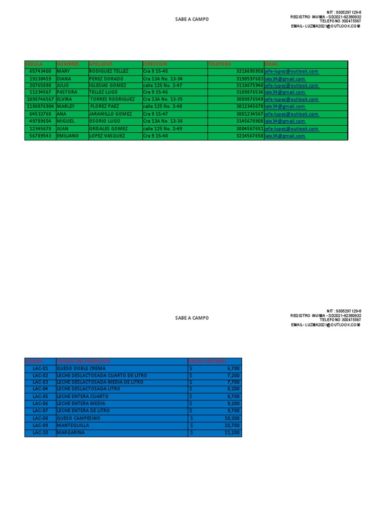 Taller 4 Tablas Dinamicas - y Macros | PDF