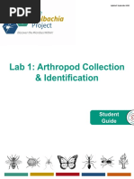 Insect Morphology | PDF | Insects | Animal Anatomy