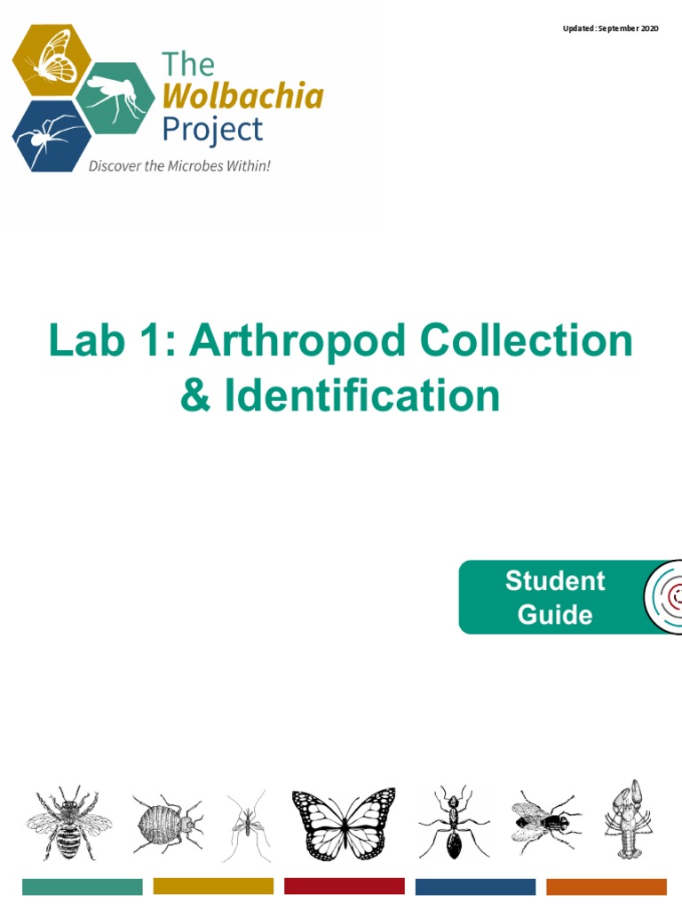 Arthropod Collection & Identification Guide | PDF | Insects | Taxonomy ...