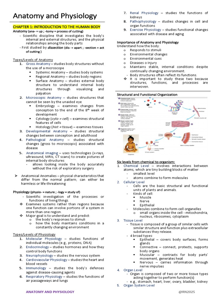 Renal Physiology - Studies the functions of kidneys | PDF | Human Body ...