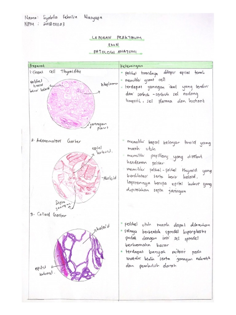 Patologi Anatomi | PDF