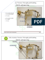 Insights on Paramphistomum Cervi | PDF