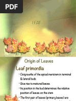 Leaf Dichotomous Key | PDF | Leaf | Branches Of Botany