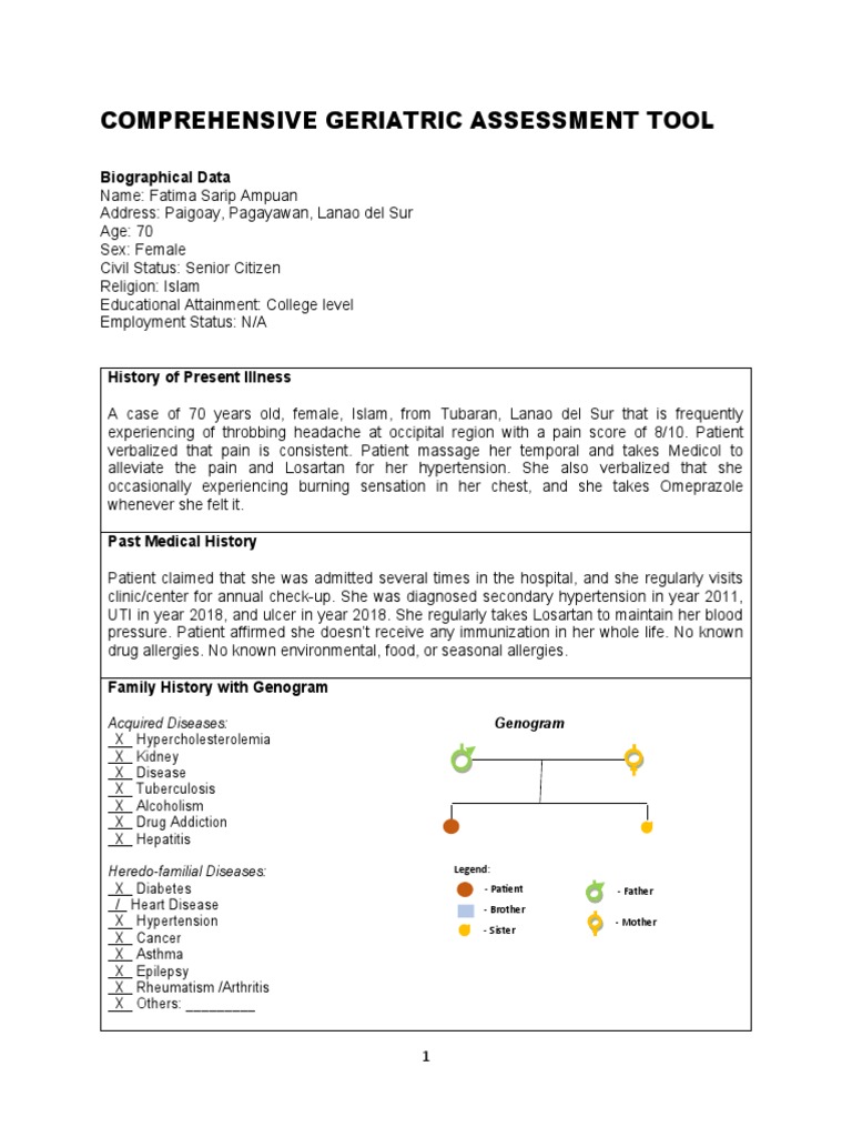 Comprehensive Geriatric Assessment Report | PDF | Blood Pressure ...
