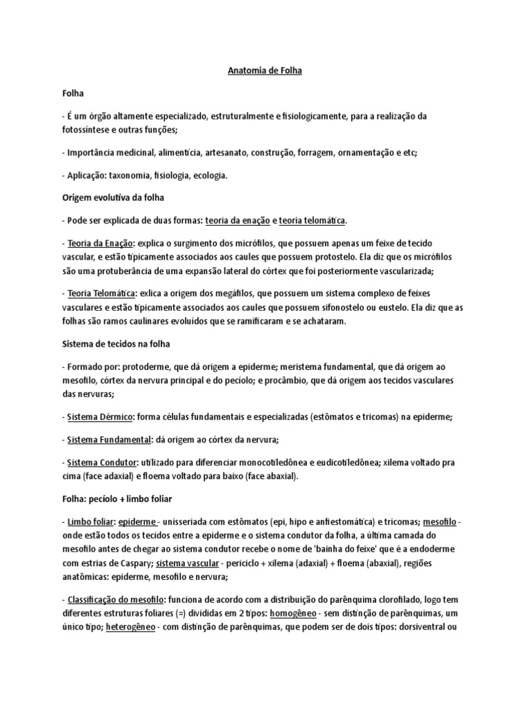 Resumo Anatomia Vegetal | PDF | Folha | Anatomia