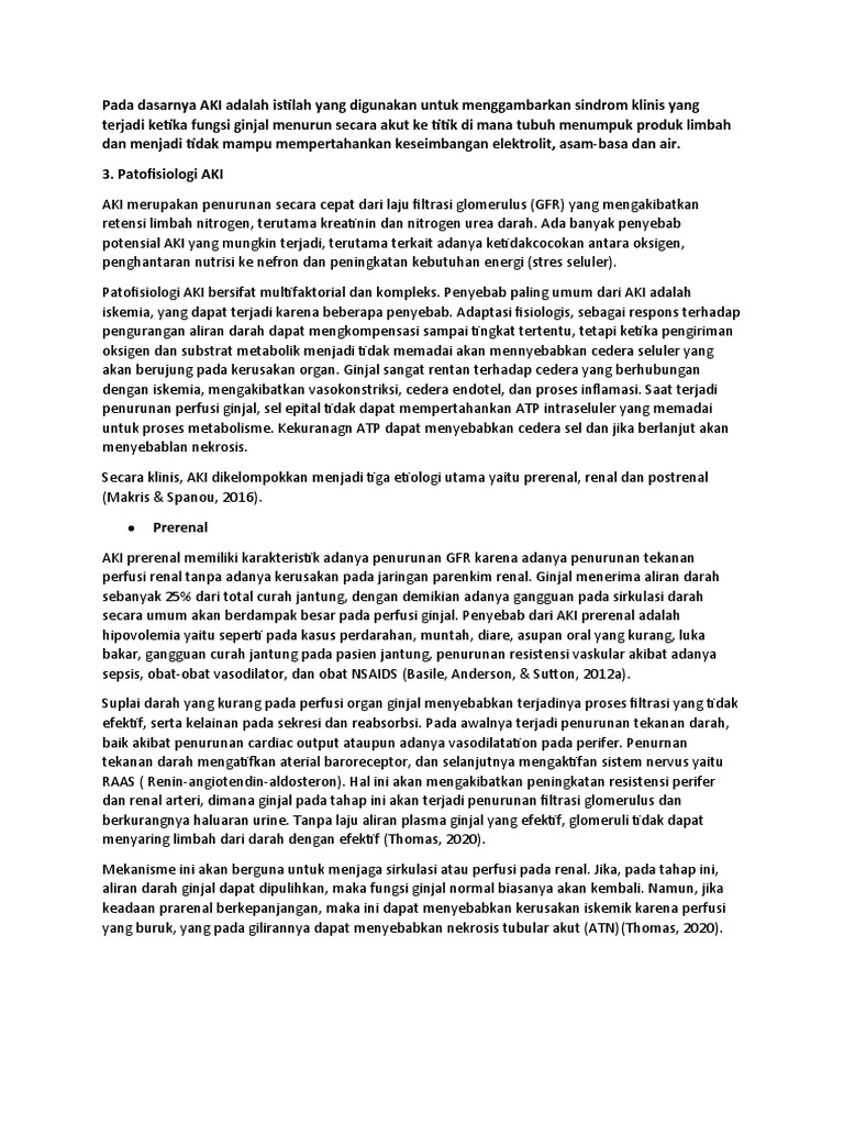 Patofisiologi AKI | PDF