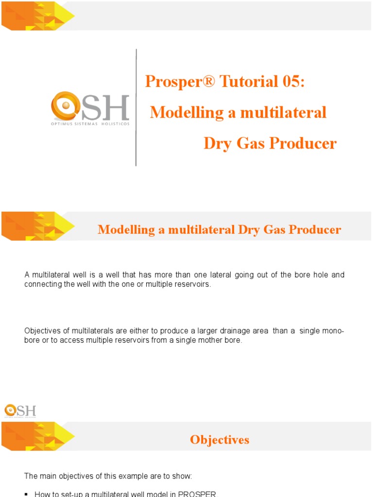 Prosper® Tutorial 05: Modelling A Multilateral Dry Gas Producer | PDF ...