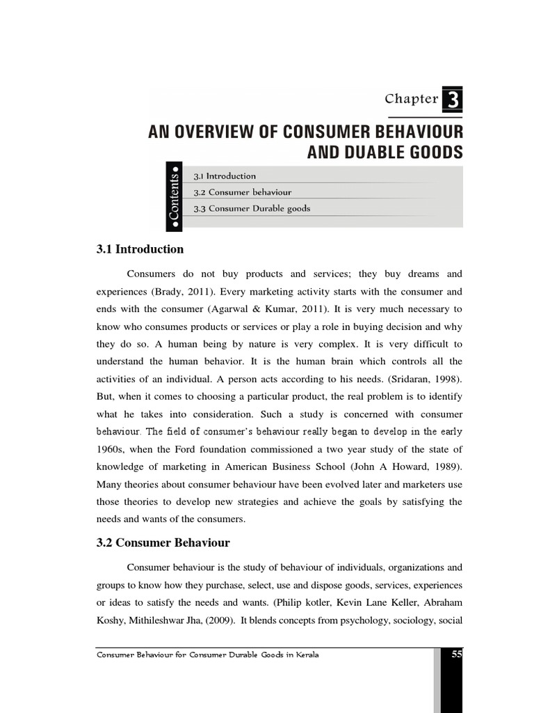Consumer Behaviour | PDF | Consumer Behaviour | Consumption (Economics)