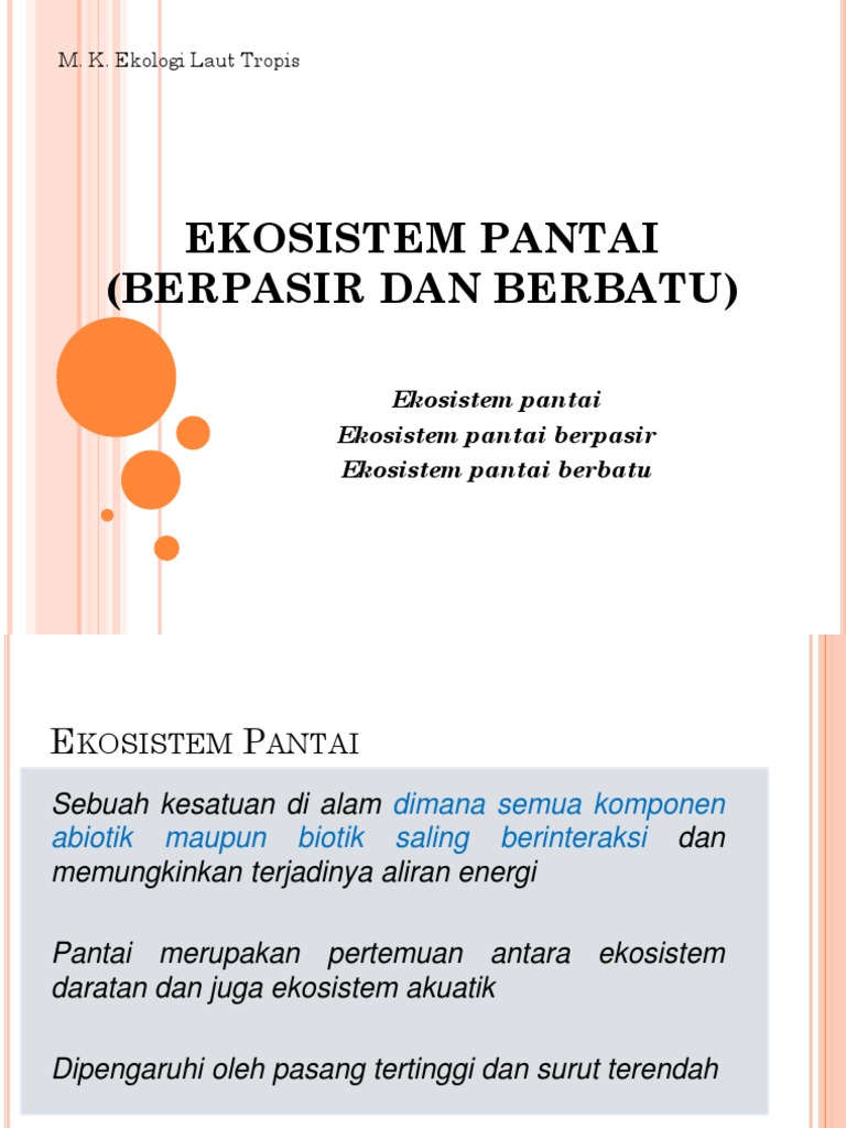 M4 Ekosistem Pantai Berpasir Dan Berbatu 1 | PDF