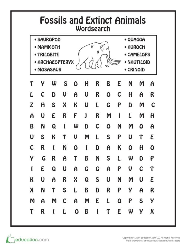 Education Fossils and Extinct Animals Wordsearch | PDF