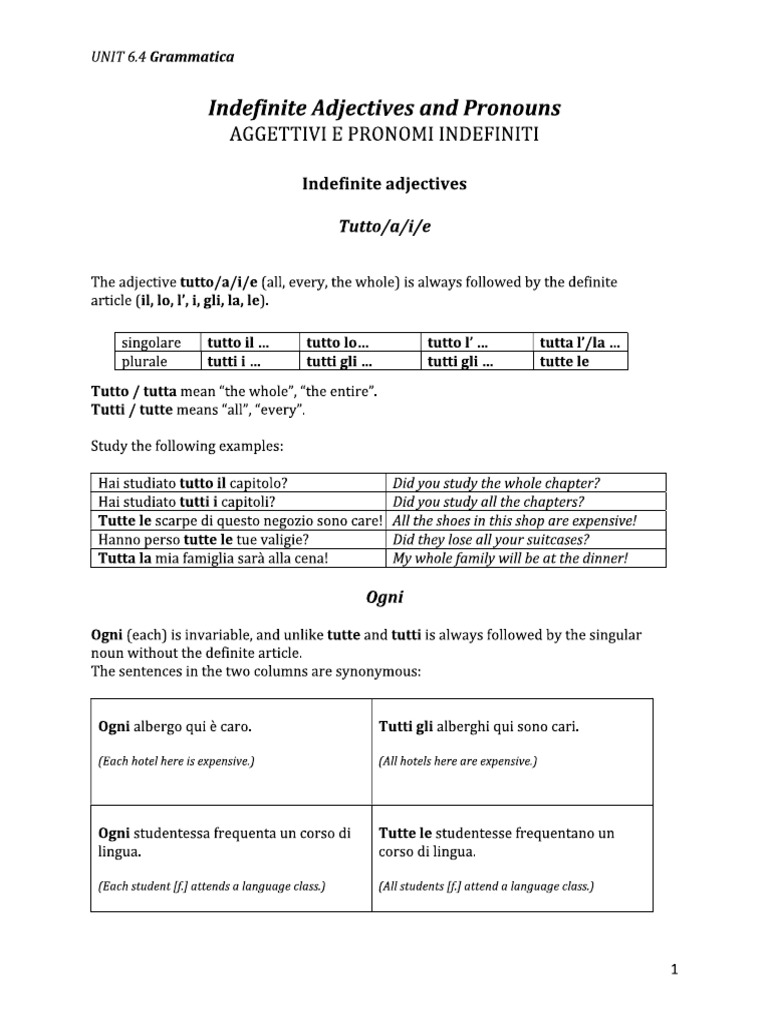 Aggettivi e Pronomi Indefiniti | PDF