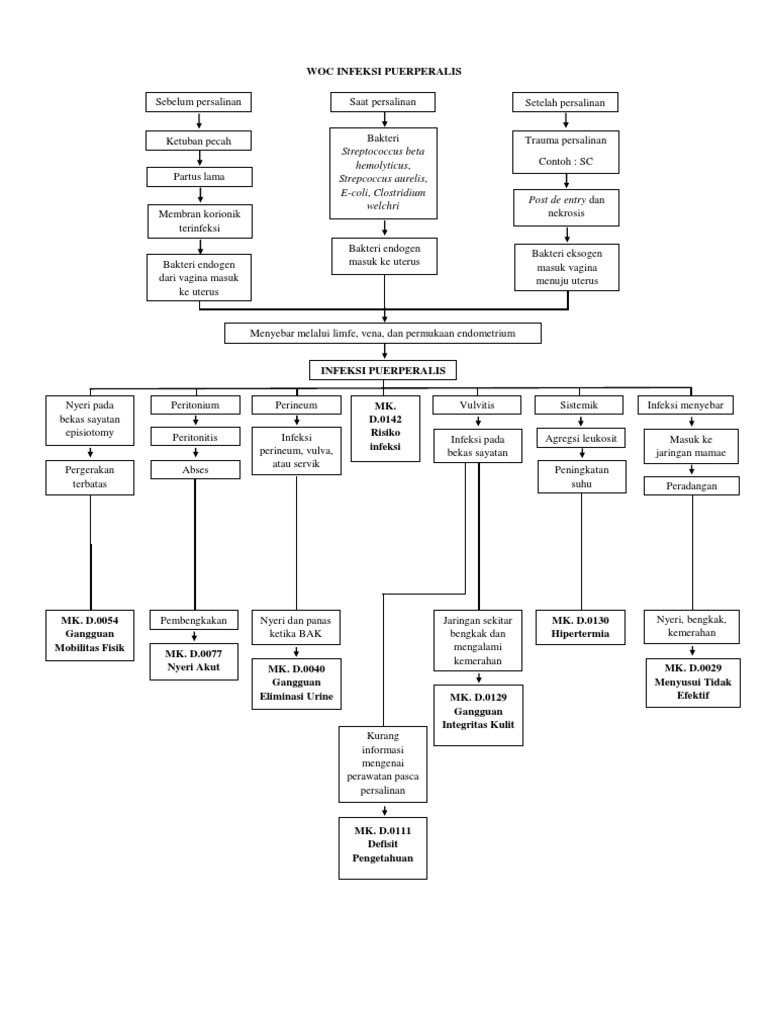 Woc Infeksi Puerperalis Revisi | PDF