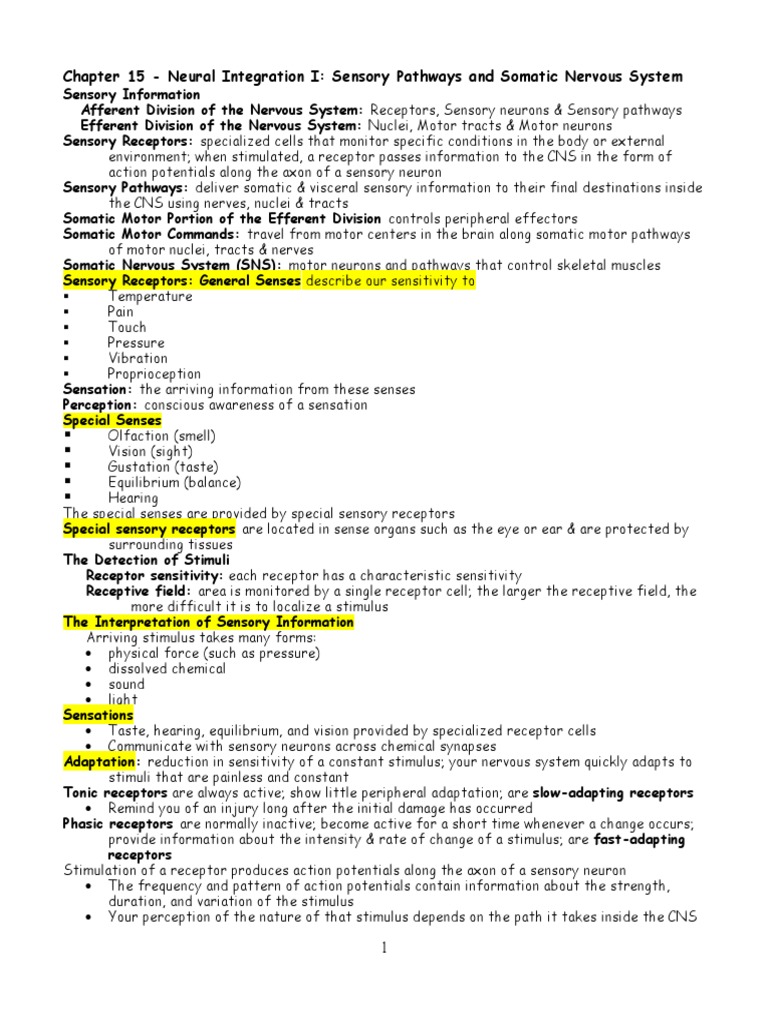 Chapter 15 - Neural Integration I: Sensory Pathways and Somatic Nervous ...