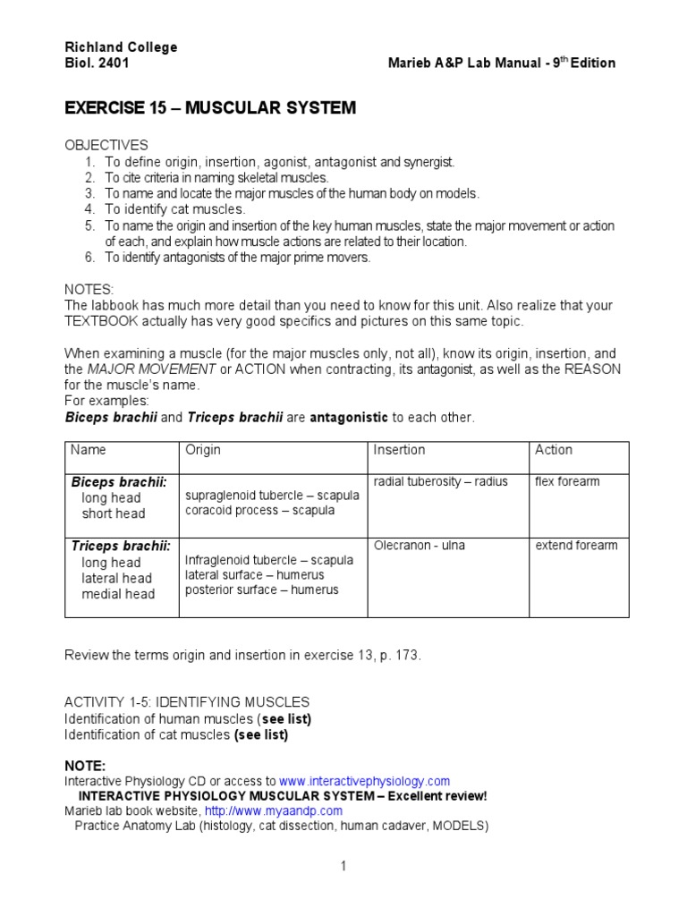 Exercise 15 - Muscular System: Richland College Biol. 2401 Marieb A&P ...