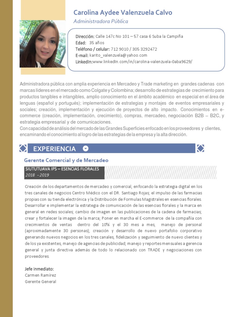 Currículum de Carolina | PDF | Marketing | Comercio electrónico