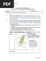 Microscopy Euglena | PDF