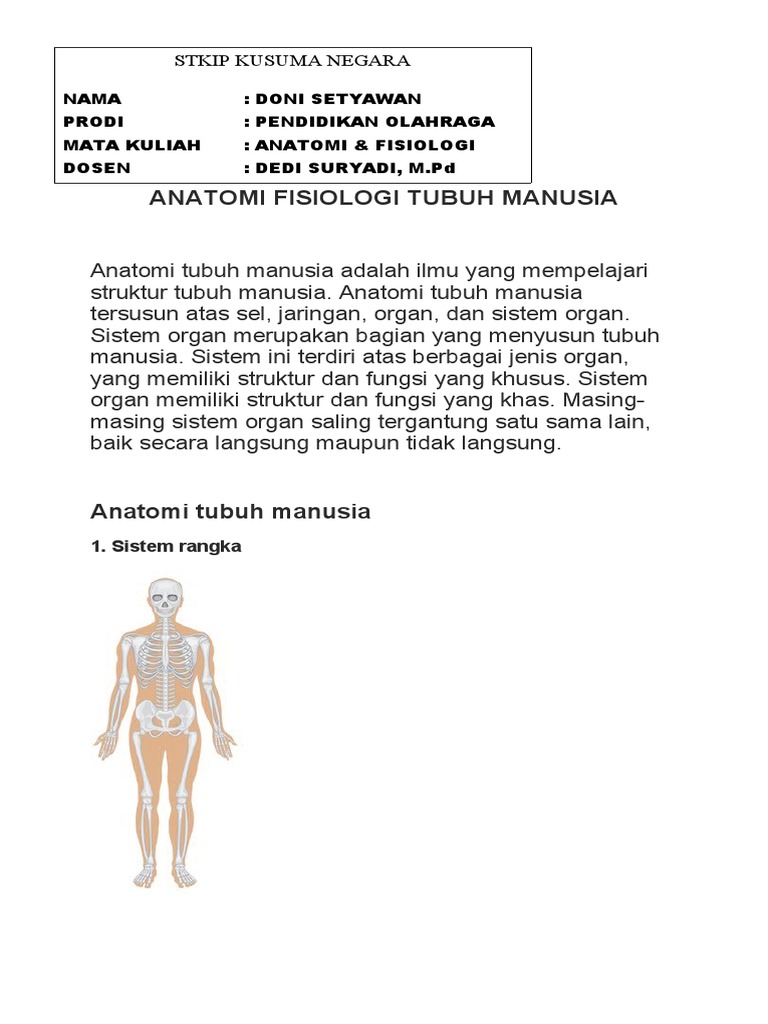 Anatomi Fisiologi Tubuh Manusia | PDF | Kesehatan Holistik