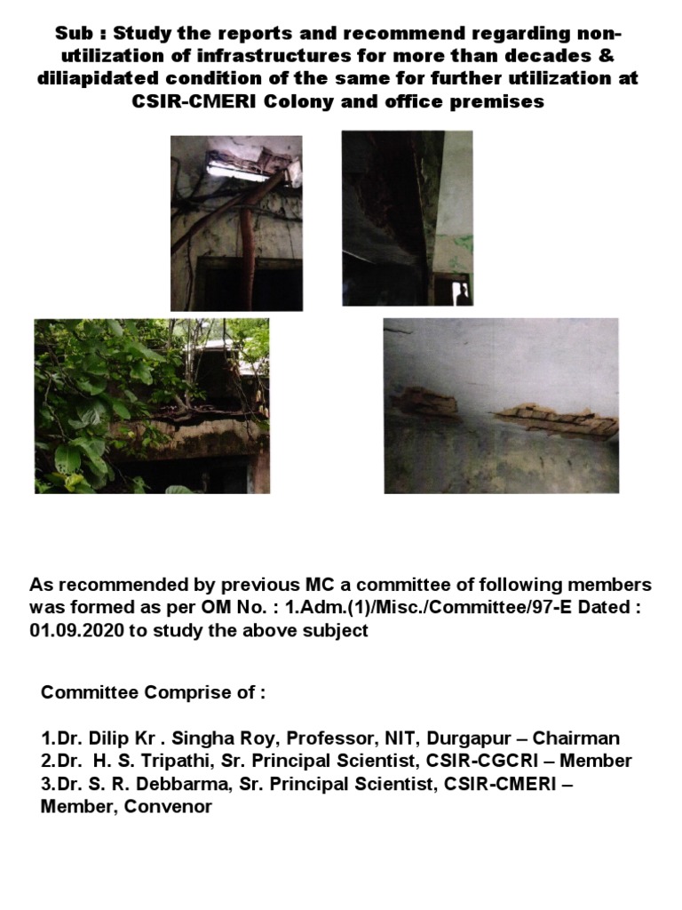 MC Presentation | PDF