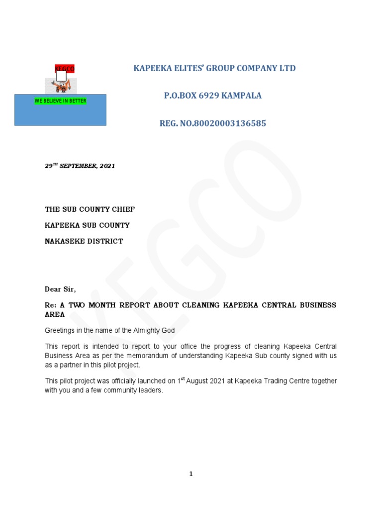 Cleaning Report | PDF | Economies