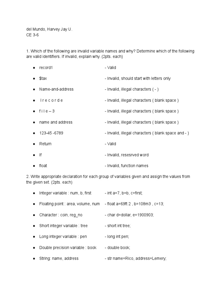 Activity 4.1 C Fundamentals | PDF