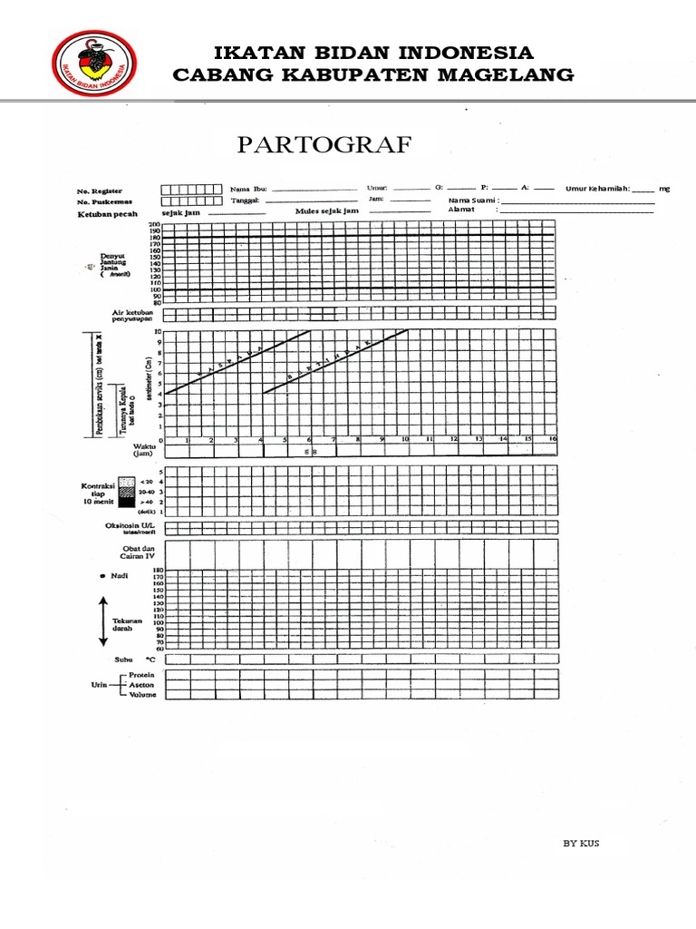 04.1. Partograf Format IBI 2019 | PDF