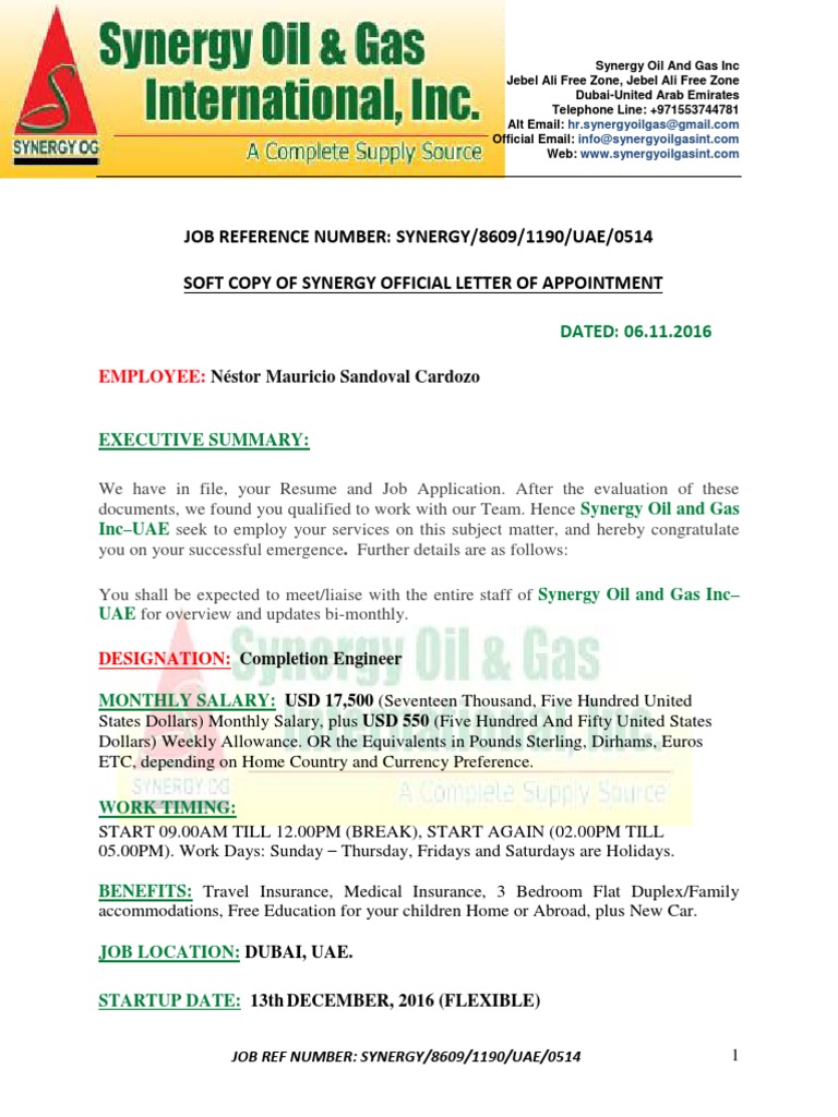SYNERGY Fake Job Offer Letter | PDF | Employment | United Arab Emirates