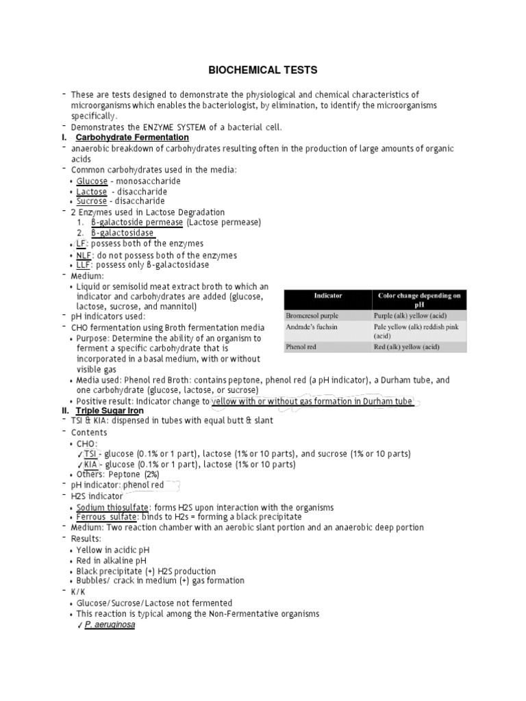 Biochemical Tests: I. Carbohydrate Fermentation | PDF | Carbohydrates ...