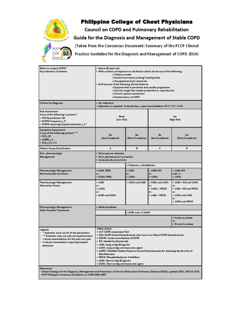 COPD Guides 2014 | PDF | Chronic Obstructive Pulmonary Disease ...