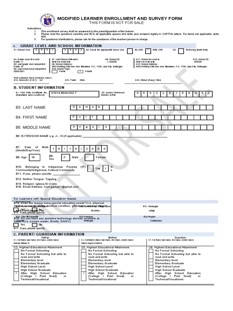 DepEd Form | PDF | Internet Access | Internet