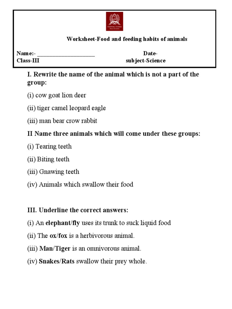 Food and Feeding - Worksheet | PDF | Science & Mathematics