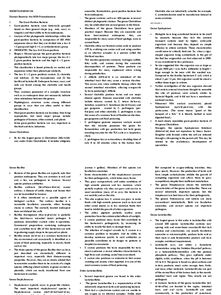 Domain Bacteria: The NON-Proteobacteria: See Figure 1 | PDF ...