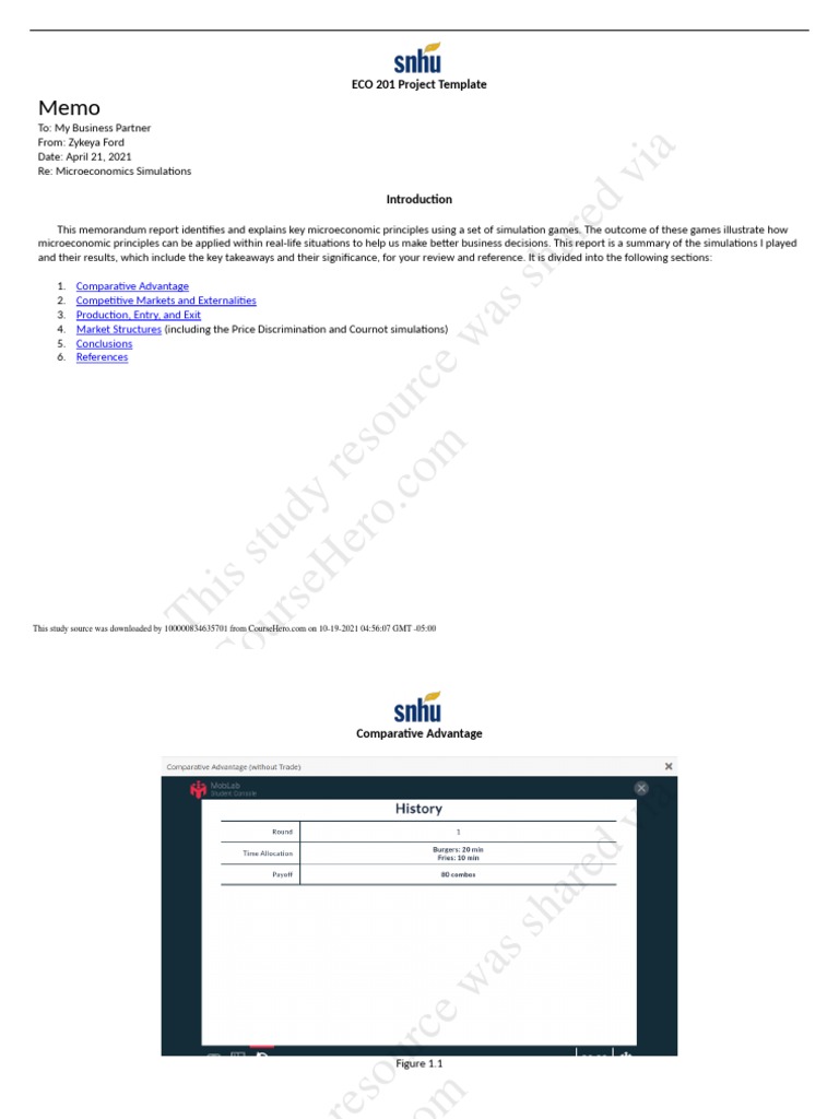 ECO 201 Project Final | PDF | Monopoly | Profit (Economics)