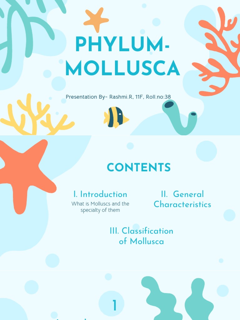 Overview of Phylum Mollusca | PDF | Mollusca | Zoology