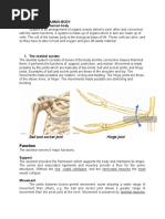 Natural & Man-Made Frame/shell Structures | PDF | Skeleton
