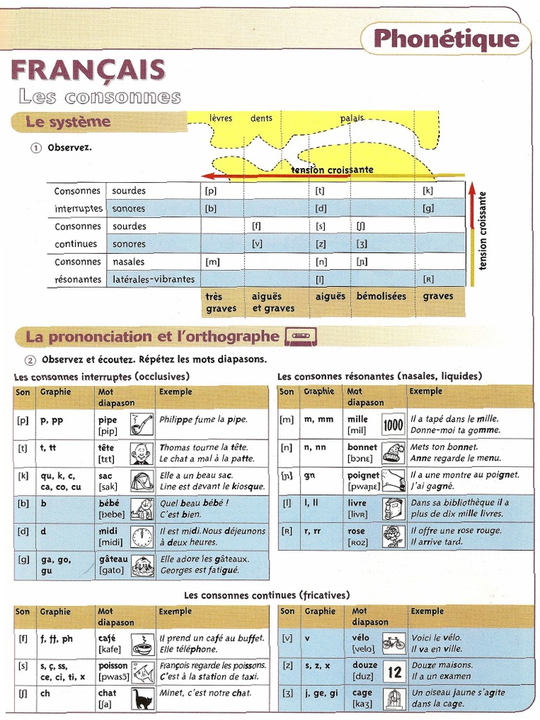 Les Sons Du Français (Les Consonnes) | PDF