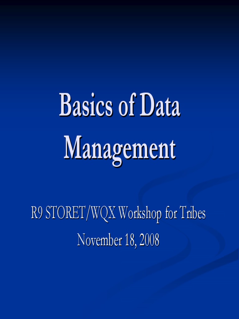Basicsof Data Management Pdf Databases Business