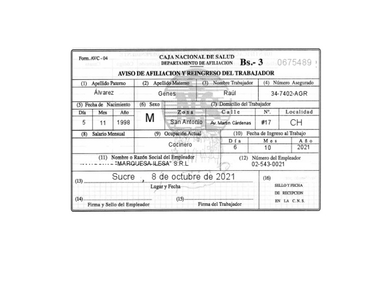formulario-AVC-04 Raúl Álvarez Genes | PDF