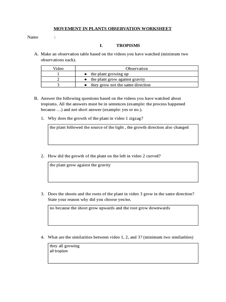 Plant Movement Observation Worksheet | PDF | Physiology | Plant Physiology