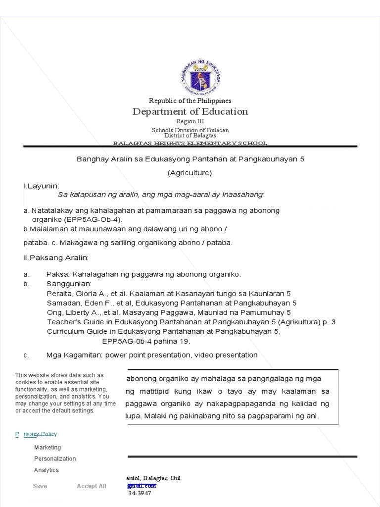 PDF Lesson Plan in Epp 5 | PDF