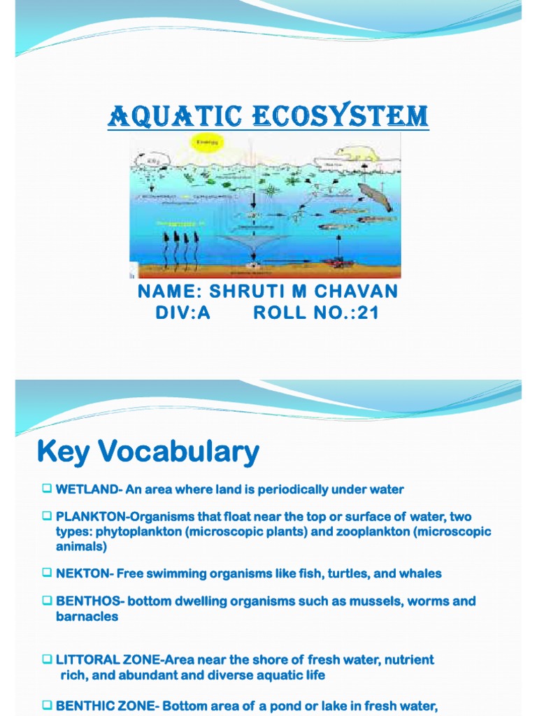 Aquatic Ecosystem | PDF | Aquatic Ecosystem | Plankton