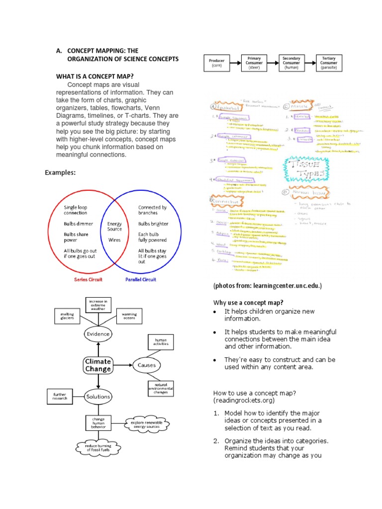 Examples:: A. Concept Mapping: The Organization of Science Concepts ...