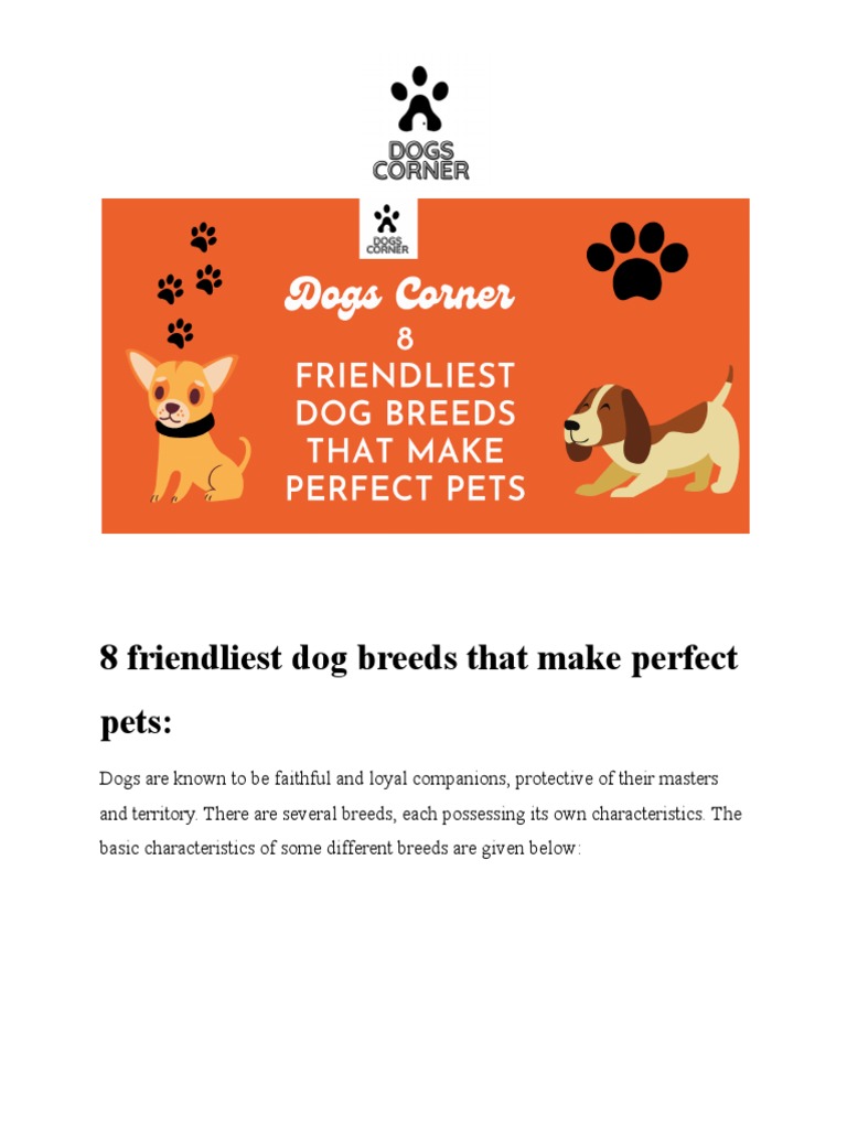 8 Friendliest Dog Breeds That Make Perfect Pets | PDF | Dogs | Boxer (Dog)