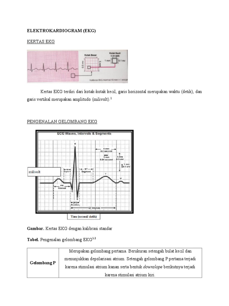 Baca Ekg Nih | PDF