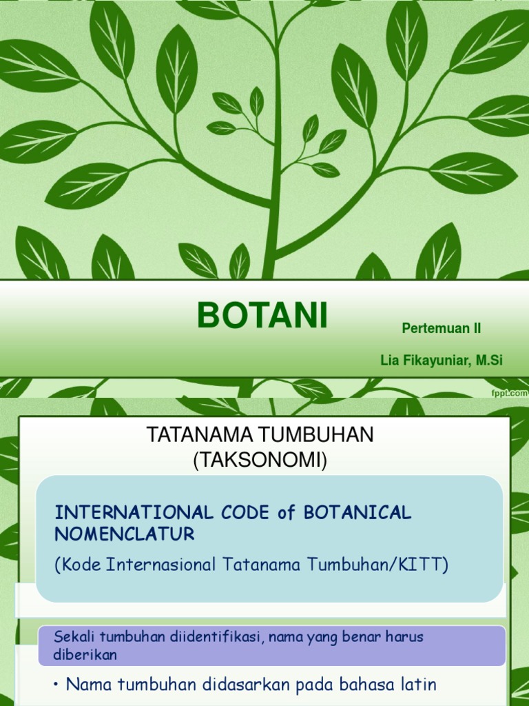 Botani Materi Uts | PDF