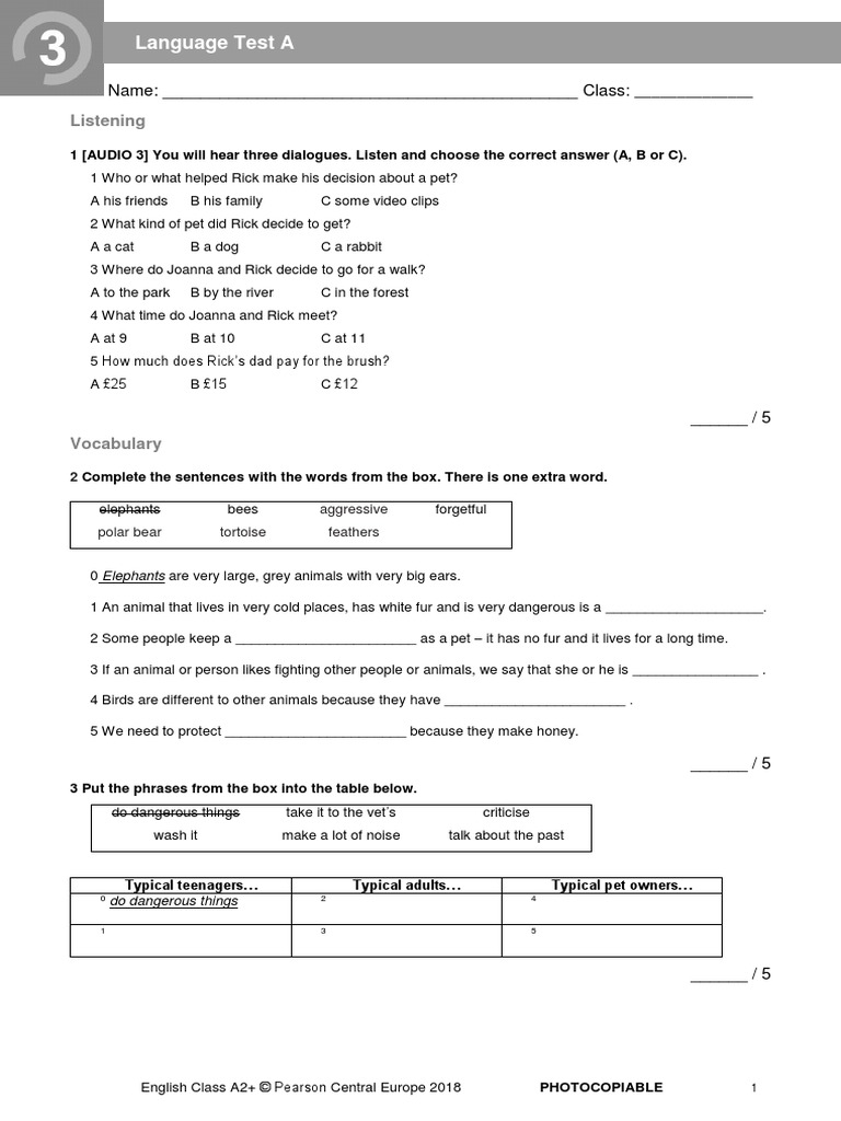 Language Test A: Name: - Class | PDF | Cats | Linguistics