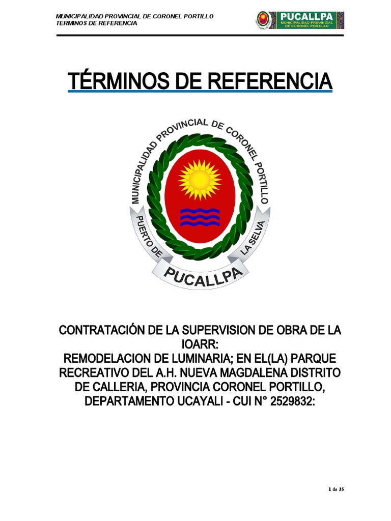 TDR Supervision Electrificacion Magdalena | PDF | Presupuesto | Seguridad y salud ocupacional