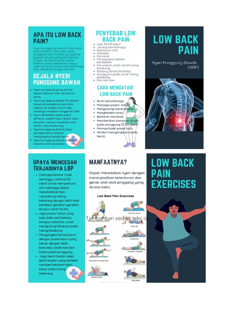 Leaflet Low Back Pain | PDF